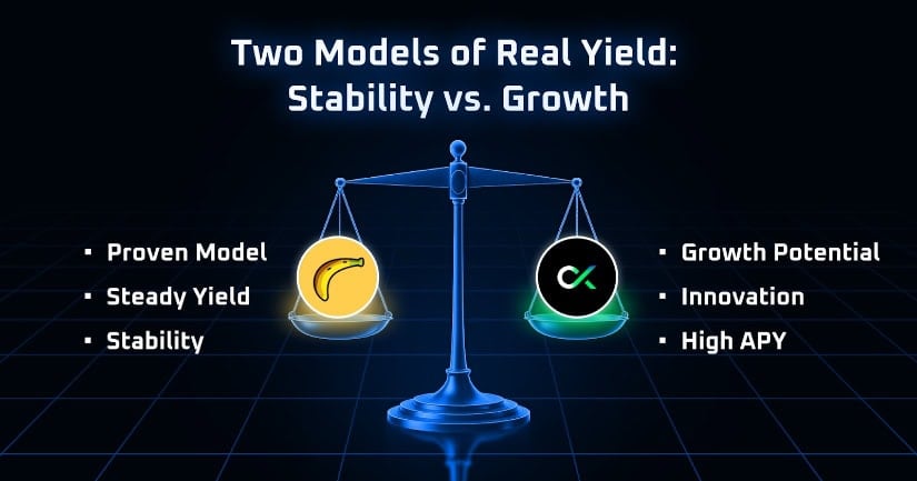 Top 10 Crypto Trends to Watch Out for in 2025: A Deep Dive - Brave New Coin